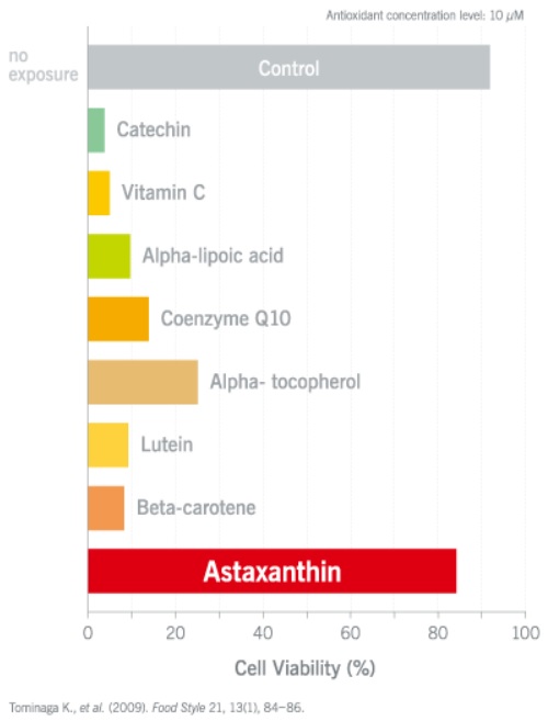 ASTAKSANTYNA - najsilniejszy naturalny przeciwutleniacz - @WORKOUT